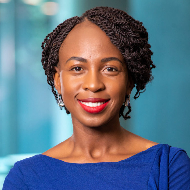 Board of Directors - PSI